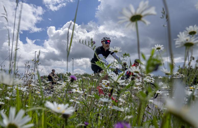 RideLondon | London Marathon Events