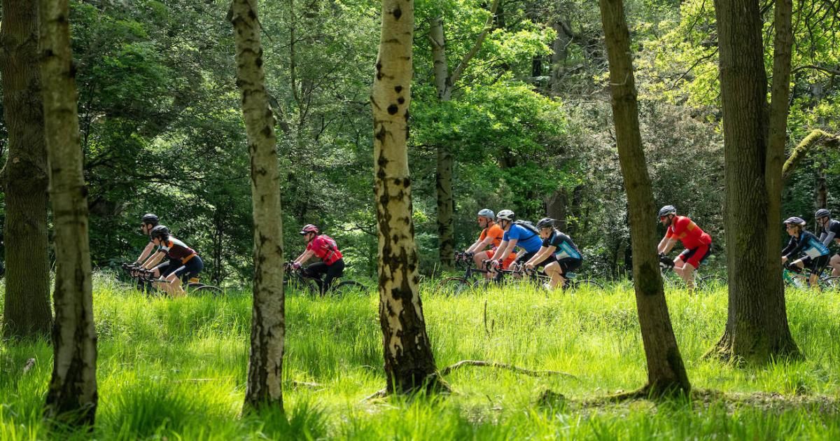 10 Stunning Sights on the Ford RideLondon-Essex 100 Route | London ...